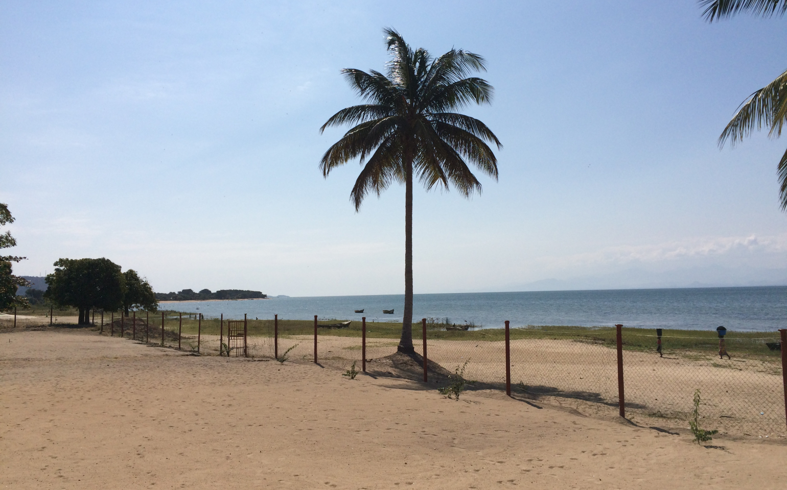 Source of Khalid ibn Madan’s statement on Tuba tree and foetus ...