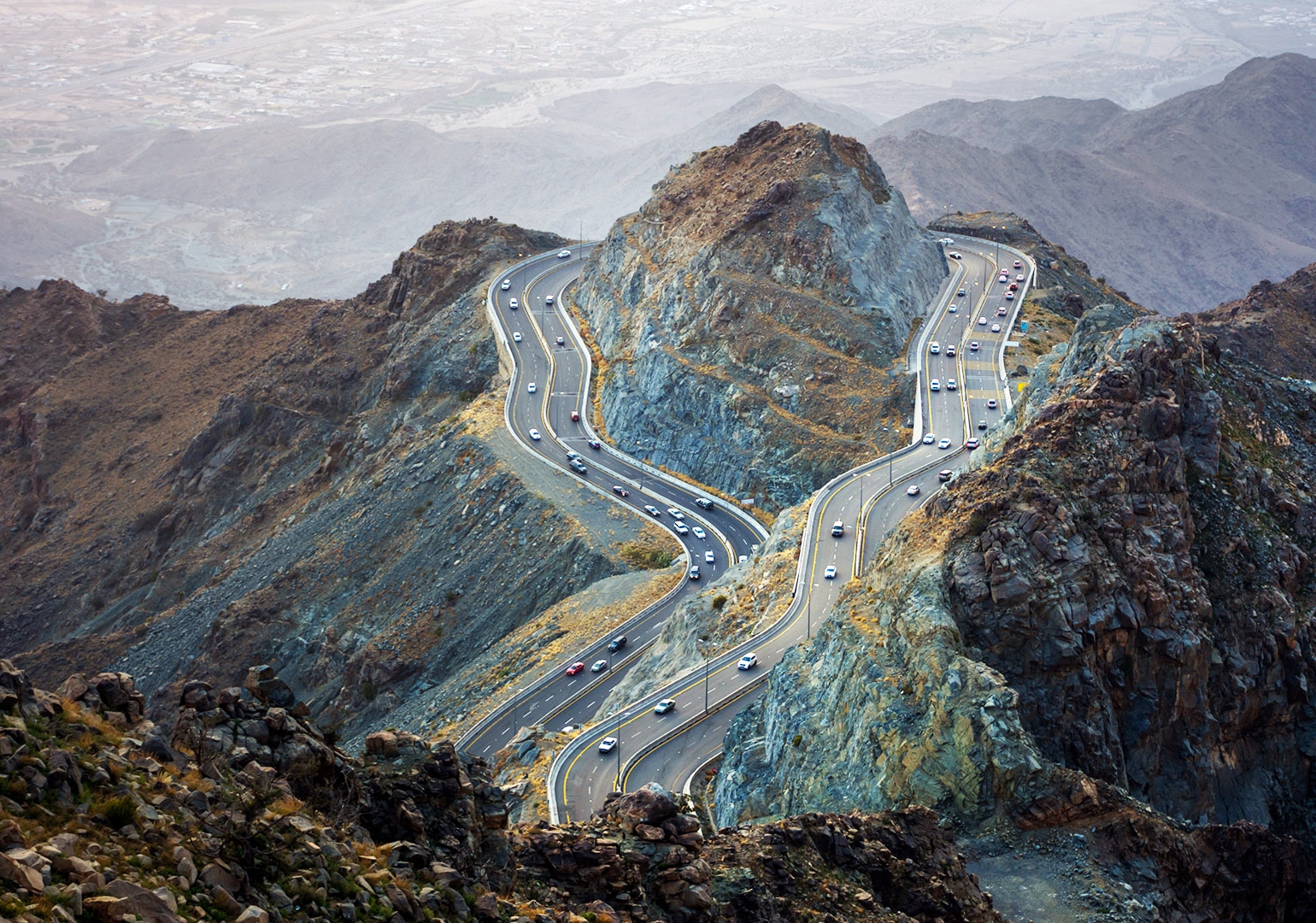 The Prophet’s cat Muezza | Islamic Portal